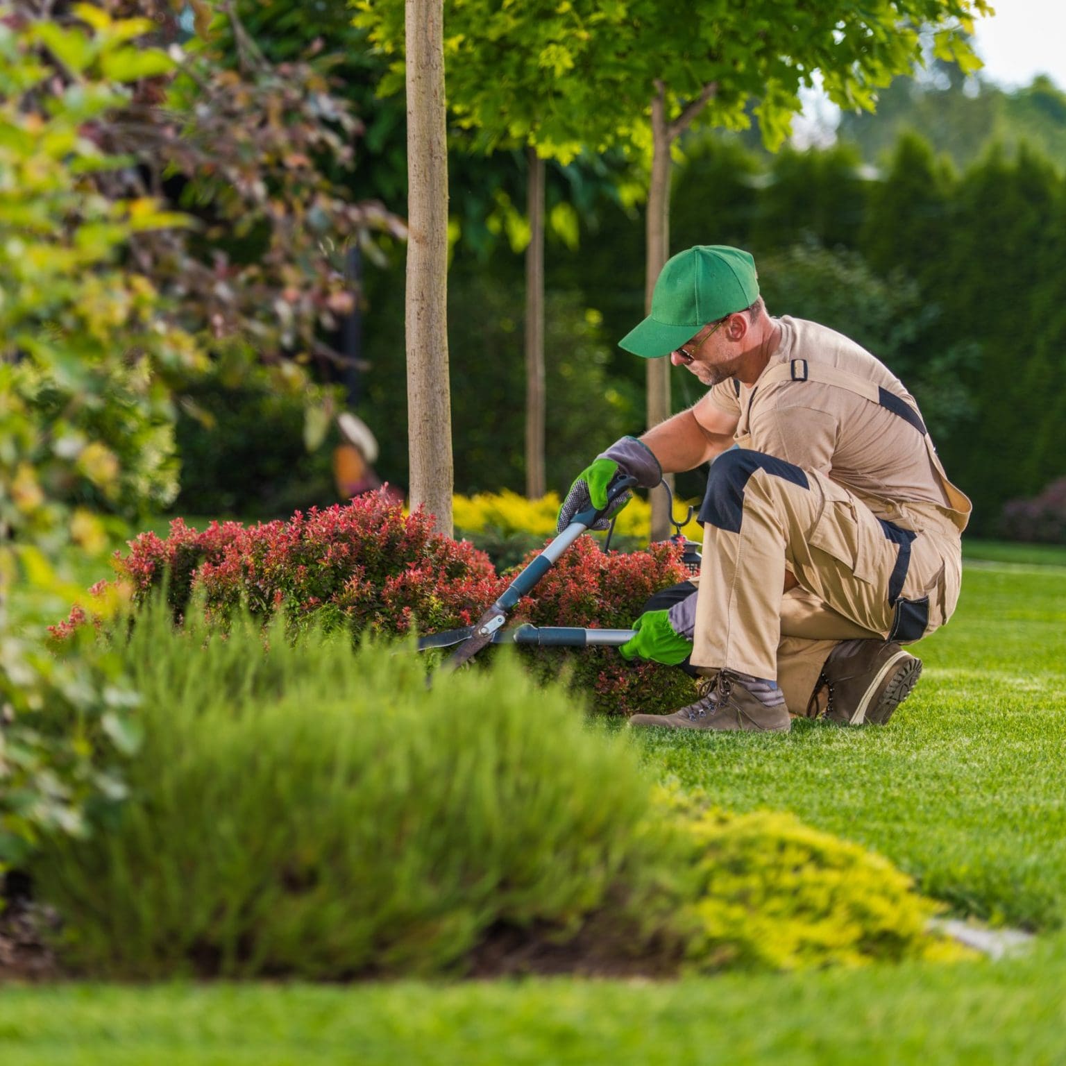 Grounds Maintenance Bath - Grounds Maintenance South West